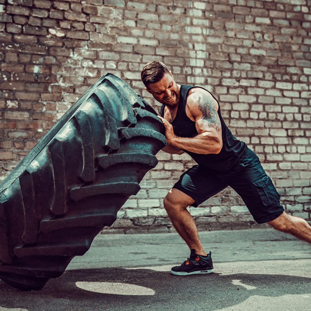 Body Recomposition Training - AniFit Training